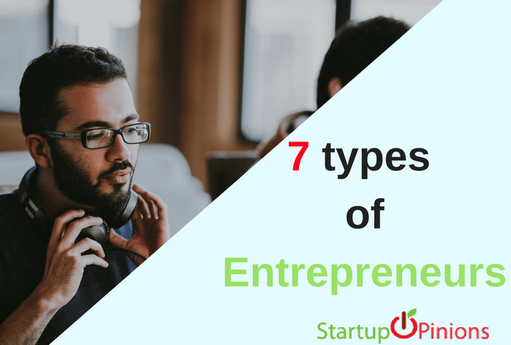 Top 7 Types of Entrepreneurs in 2025 - (Infographics) - Startup Opinions