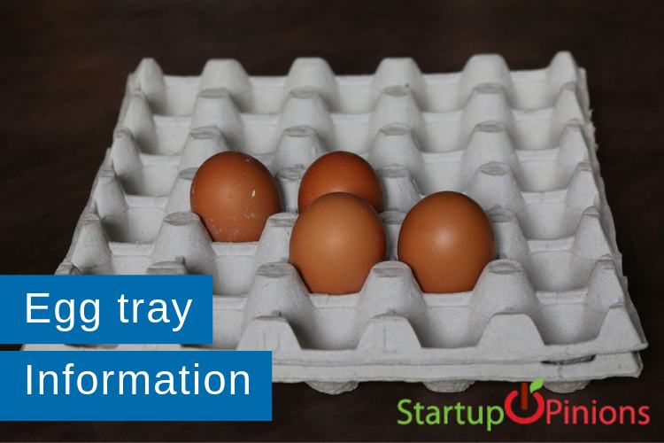 All that you need to know about Egg Tray is right here - Startup Opinions