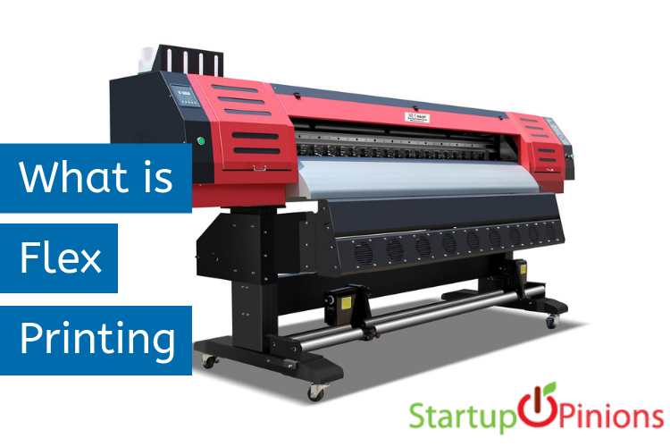 What is Flex Printing ? Know Everything About It - Startup Opinions