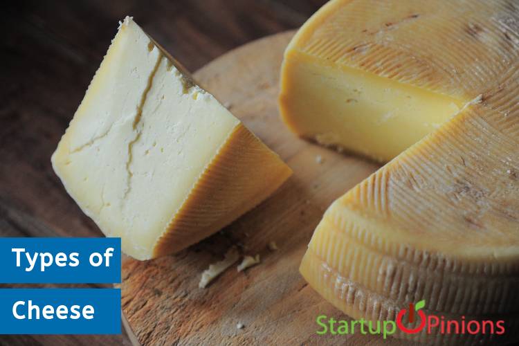 Mozzarella, Cottage Cheese, Cheddar & 12 Other Cheeses - Startup Opinions