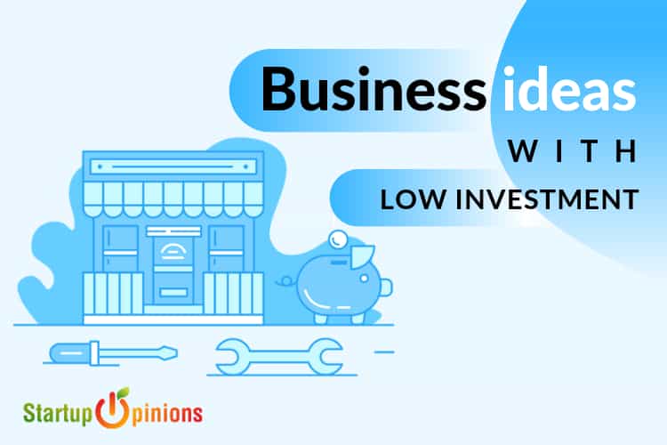 Top 28 Business Ideas with Low Investment: Get Started in 2025 - Startup Opinions