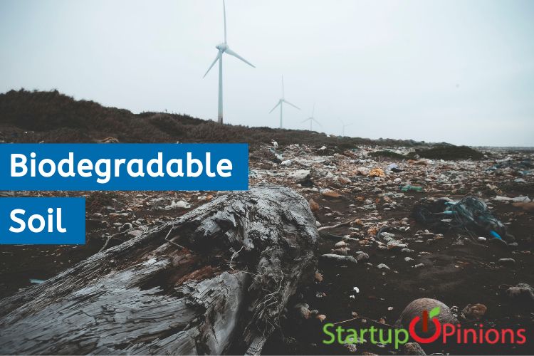What is Biodegradable Definition? - Startup Opinions